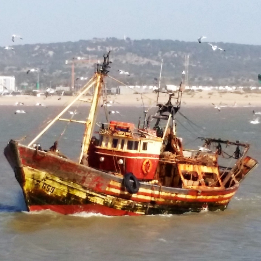 Fish & Ships - The Godless Traveller