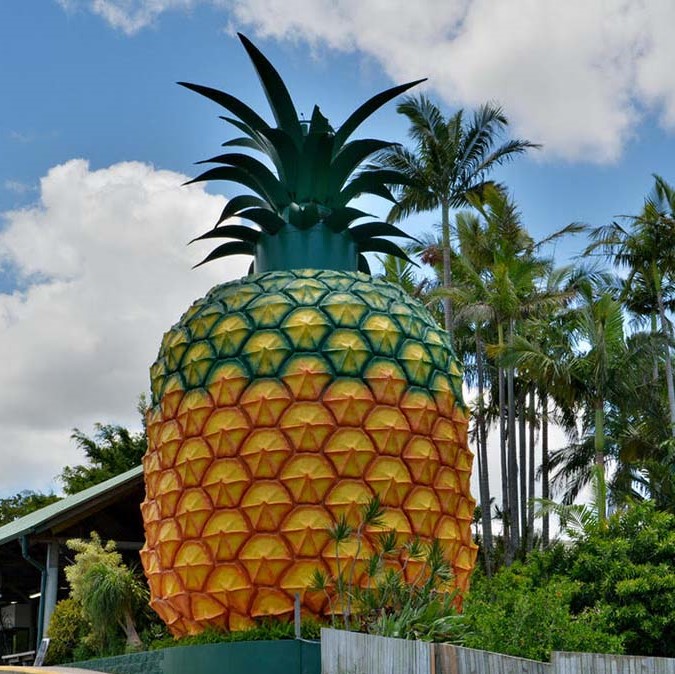 Australias Big Things Big Things Of Western Australia – This Travel